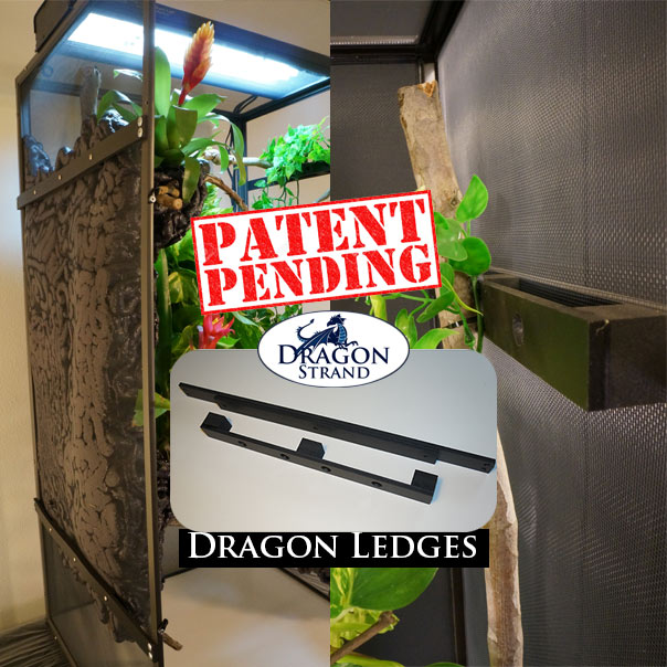 Dragon Strand Arboreal Reptile and Chameleon Cages