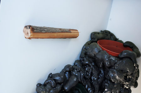 Mounting Branches in the Compact Cage System – Dragon Strand