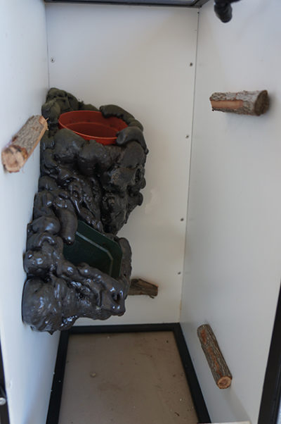 Mounting Branches in the Compact Cage System – Dragon Strand