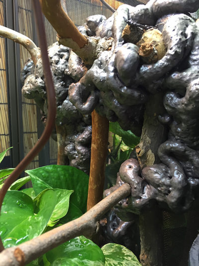 Working with “Great Stuff” Expandable Foam – Dragon Strand