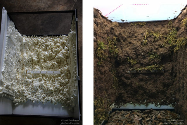 Working with “Great Stuff” Expandable Foam – Dragon Strand