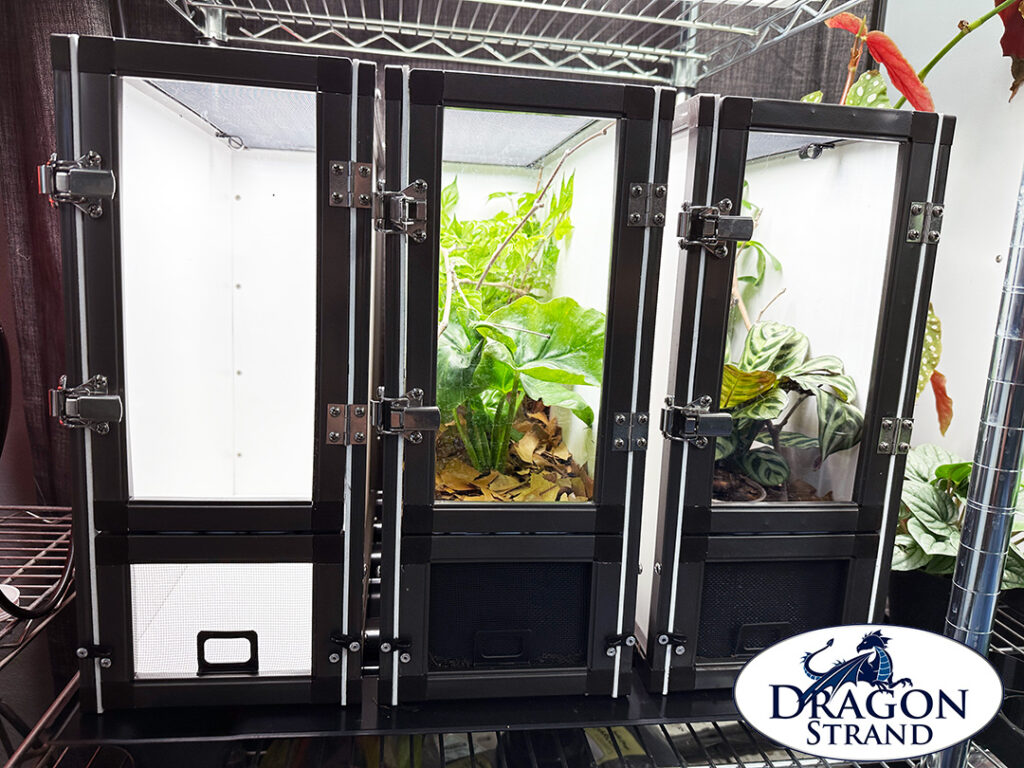 Tall Hybrid Chameleon Cage System – Dragon Strand