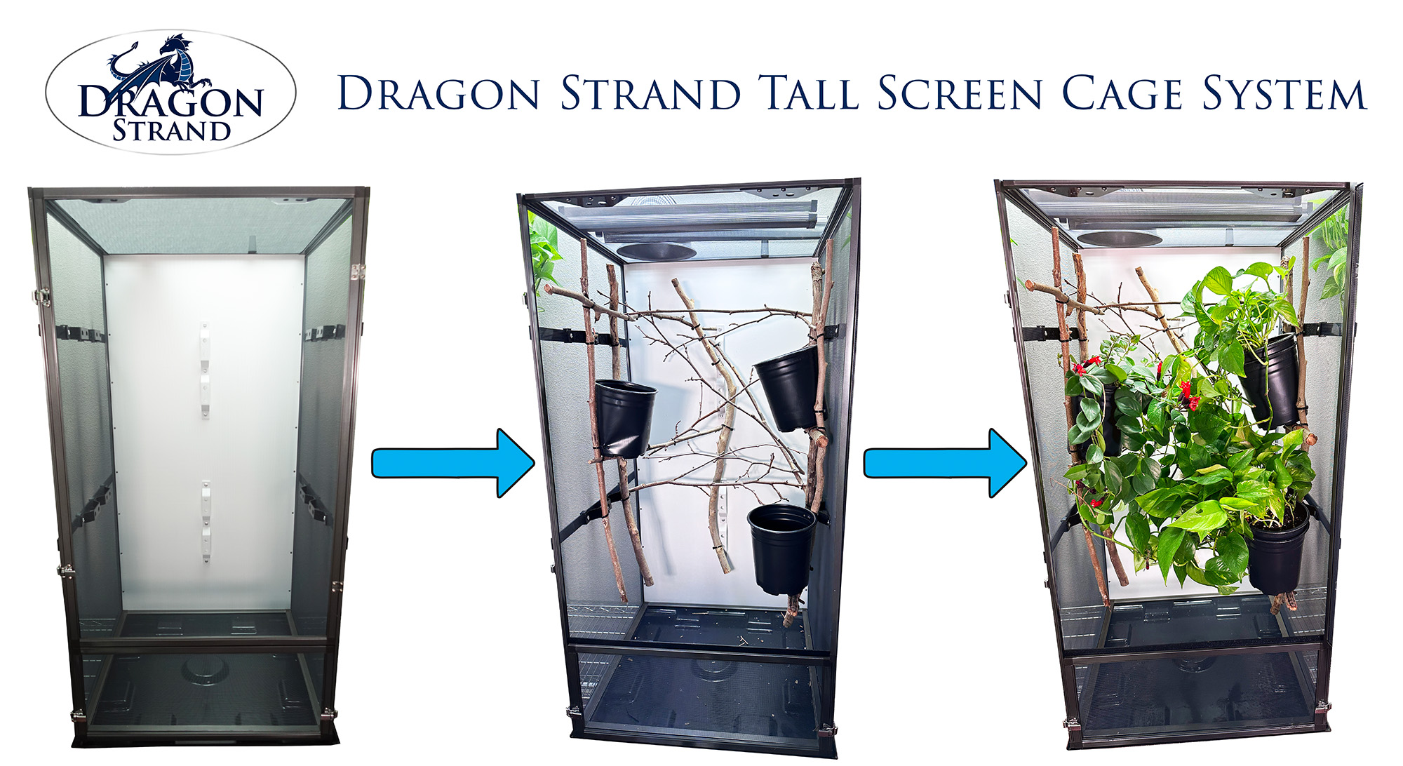 Build Guide: Tall Screen Cage – Dragon Strand