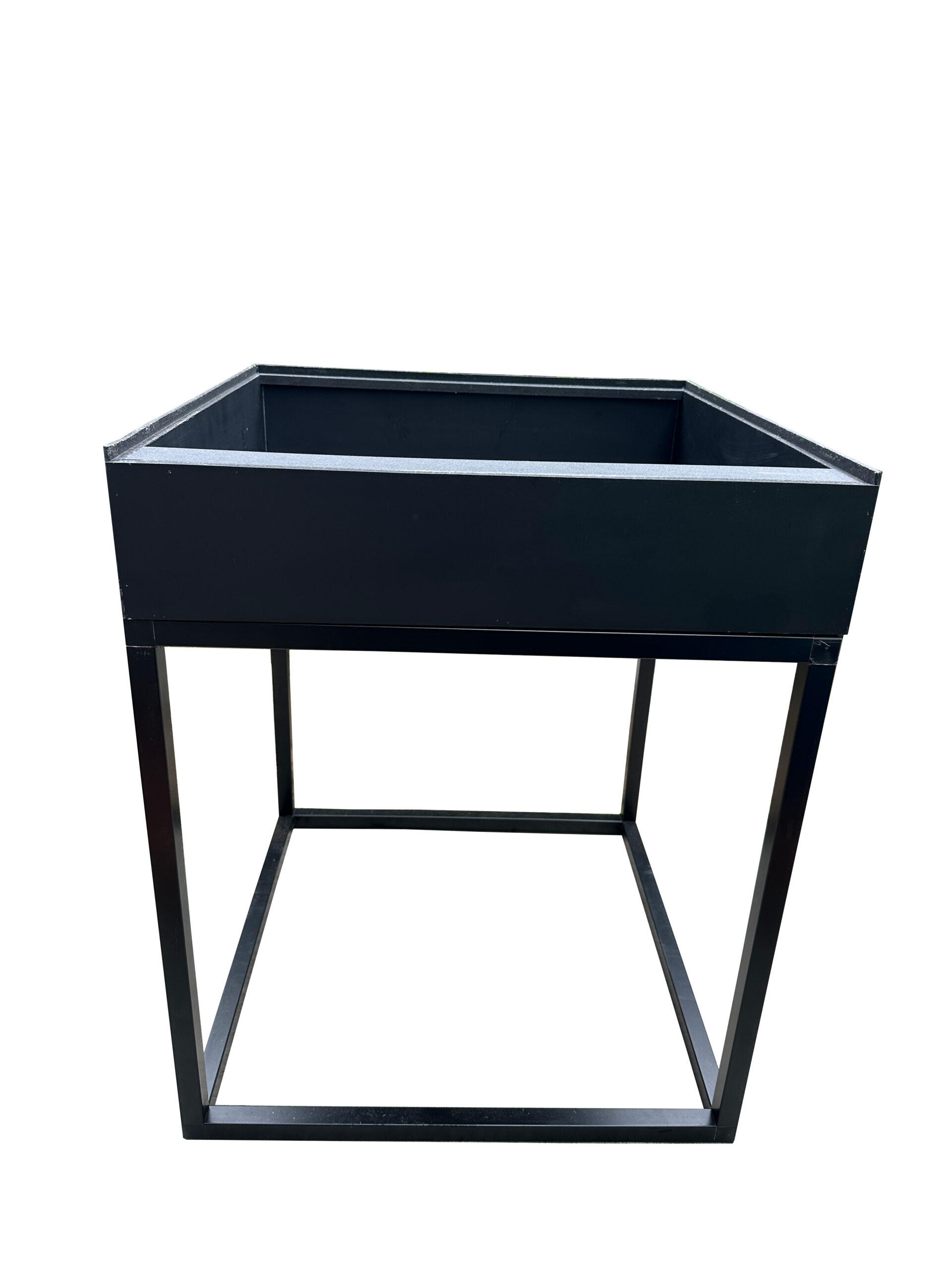 2×2 Bio-Active Stand – Dragon Strand